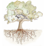 À propos – L'arbre qui Pousse